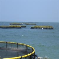 China HDPE Fish Cage System with Reinforced Mooring Kit for sale