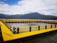 China Leave the rusty grids behind and step into the future of farming with a modern HDPE Fish Cage for sale