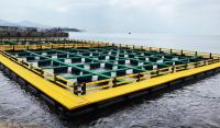 China Say goodbye to makeshift structures—scale your biomass with our precision-engineered HDPE Fish Cage system for sale