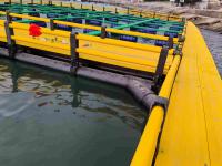 China Say goodbye to makeshift structures—scale your biomass with our precision-engineered HDPE Fish Cage system for sale