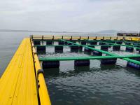 China Say goodbye to makeshift structures—scale your biomass with our precision-engineered HDPE Fish Cage system for sale