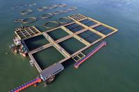 China Tame the waves and secure your stock with our storm-resistant HDPE Fish Cage for sale