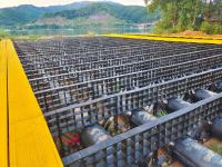 China Why fight nature with fragile metal? Tame the water currents and secure your biomass with one heavy-duty HDPE Fish Cage. for sale
