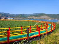 China Stop bleeding cash on endless repairs. One premium HDPE Fish Cage turns a chaotic, high-risk farm into a streamlined, high-profit asset. for sale