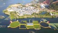 China Stop bleeding cash on endless repairs. One premium HDPE Fish Cage turns a chaotic, high-risk farm into a streamlined, high-profit asset. for sale