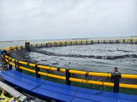 China Stop bleeding cash on endless repairs. One premium HDPE Fish Cage turns a chaotic, high-risk farm into a streamlined, high-profit asset. for sale