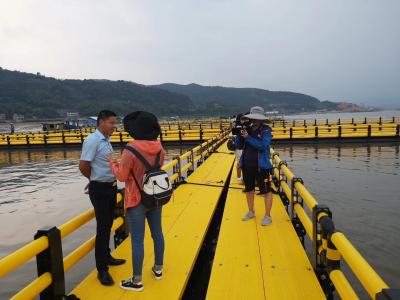 China Stop bleeding cash on endless repairs. One premium HDPE Fish Cage turns a chaotic, high-risk farm into a streamlined, high-profit asset. for sale