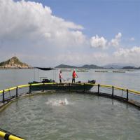 China Integrated Deep Water Fish Cage, High Stability Welded HDPE Cage for sale