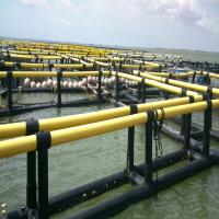 China Modular Combined Fish Raft Cage, Flexible Assembled Aquaculture System for sale