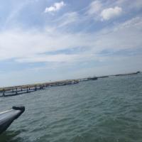 China Weather & Corrosion Resistant HDPE Aquaculture Cage Equipment for sale