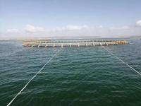 China Upgrade from rust to robust. Experience the future of farming with HDPE Fish Cages for sale