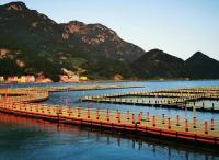 China Trade your high-maintenance metal grids for a lifetime of durability. Choose HDPE fish cages. for sale