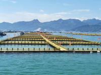 China Trade your high-maintenance metal grids for a lifetime of durability. Choose HDPE fish cages. for sale