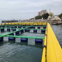 China Shock Resistant HDPE Floating Fish Culture Raft for Freshwater Lake Farming for sale