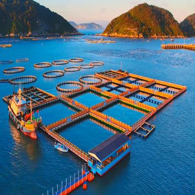 China Modular Split-Type Aquaculture Cage with Walkway for Step-by-Step Farm Expansion for sale