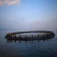 China Anti-Aging UV Stabilized HDPE Fish Cage for Long-Term Open Water Service for sale