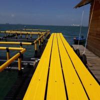 China Small Multi-Cell Combined Fish Raft for Low-Investment Starter Fish Farm for sale