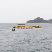China Deep Water Circular Anti-Turbulence Fish Cage with Even Force Distribution for sale
