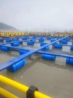 China Fish raised in our premium HDPE fish cages consistently fetch a premium market price for sale