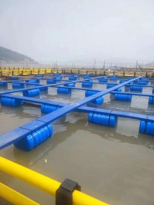 China Fish raised in our premium HDPE fish cages consistently fetch a premium market price for sale