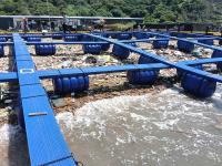 China Modular Pontoon Dock: 100% Virgin PE100, 25‑Year Lifespan, Cost‑Effective, Ideal for Rivers & Small Lakes, Top Pick for Individual Fish Farmers for sale