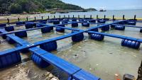 China Modular Pontoon Dock: 100% Virgin PE100, 25‑Year Lifespan, Cost‑Effective, Ideal for Rivers & Small Lakes, Top Pick for Individual Fish Farmers for sale