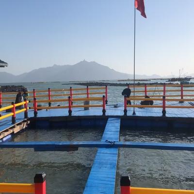 China Integrated HDPE Square Shrimp Cage for Coastal Seawater Aquaculture for sale