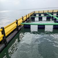 China Integrated HDPE Square Shrimp Cage for Coastal Seawater Aquaculture for sale