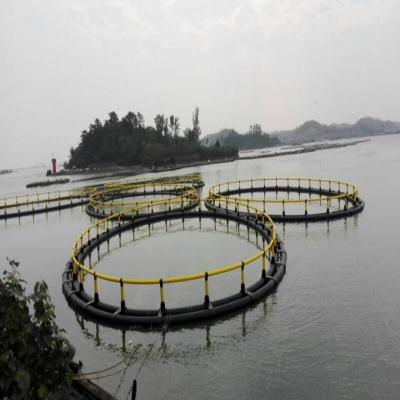 China High Wind-Resistant Circular Fish Cage for River Mainstream Breeding for sale