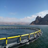 China High Wind-Resistant Circular Fish Cage for River Mainstream Breeding for sale