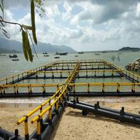 China Modular Combinable Fish Raft for Small-Scale Aquaculture Beginners for sale