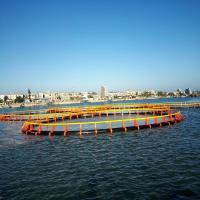 China Deep Water Anti-Aging Lake Fish Cage for Long-Term Service for sale