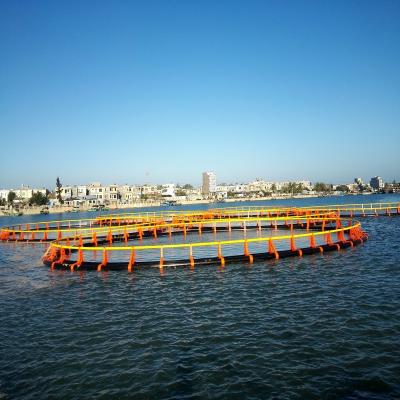 China Deep Water Anti-Aging Lake Fish Cage for Long-Term Service for sale