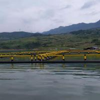 China 80m Circumference HDPE Circular Fish Cage for Marine Fish & Shrimp Farming for sale