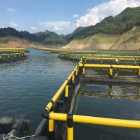 China 6m×6m HDPE Large Square Cage for Commercial Aquaculture for sale