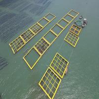 China 6m×6m HDPE Large Square Cage for Commercial Aquaculture for sale