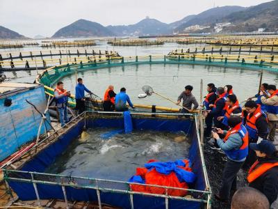China Maximize Your Volta Lake Harvest: Premium HDPE Fish Cages for Elite Taste and Profits for sale