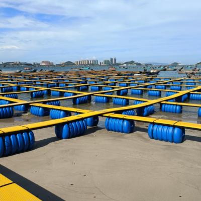 China Top-Tier HDPE Fish Cage: Drive Premium Taste and High Market Prices in Ghana for sale