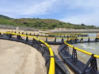 China Invest in Premium HDPE Fish Cages: Secure Better Taste and Higher Market Prices for sale