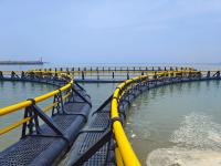 China Invest in Premium HDPE Fish Cages: Secure Better Taste and Higher Market Prices for sale