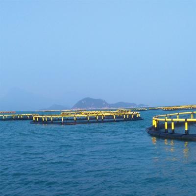 China Round HDPE Anti-wave Offshore Fish Cage for sale