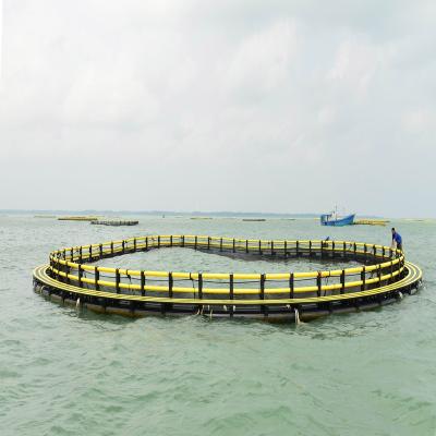 China Eco-friendly Zero-feeding Fish Cage for sale