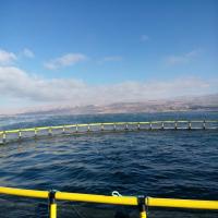 China Eco-friendly Zero-feeding Fish Cage for sale
