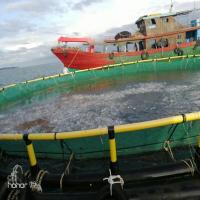 China High-strength Impact-resistant Deep Sea Fish Cage for sale
