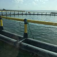 China Wear-resistant Anti-aging Universal Fish Cage for sale