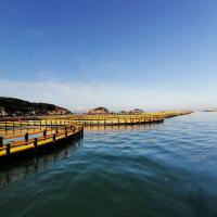 China Deep-water Anti-scour High-strength Fish Cage for sale