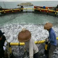 China Deep-water Anti-scour High-strength Fish Cage for sale