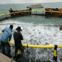 China Deep-water Anti-scour High-strength Fish Cage for sale