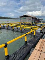 China Square HDPE Fish Cage, Floating Aquaculture Net Cage with Multi-Compartment Management System for Multi-Stage Fish Farming for sale