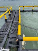 China Square HDPE Fish Cage, Floating Aquaculture Net Cage with Multi-Compartment Management System for Multi-Stage Fish Farming for sale